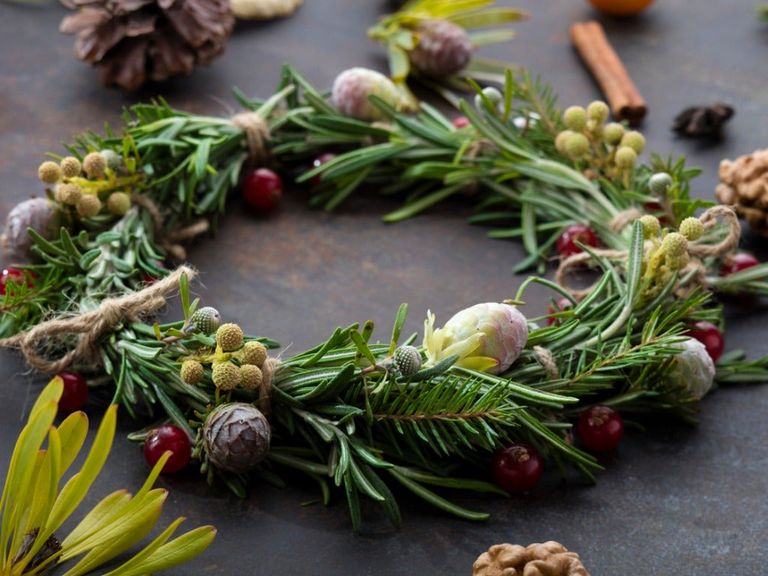 Growing Christmas Herbs: Traditional Herbs For Christmas | Gardening ...