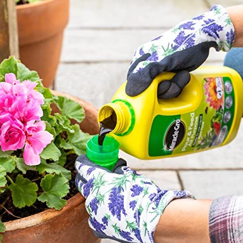 10 plants you shouldn't deadhead | Ideal Home