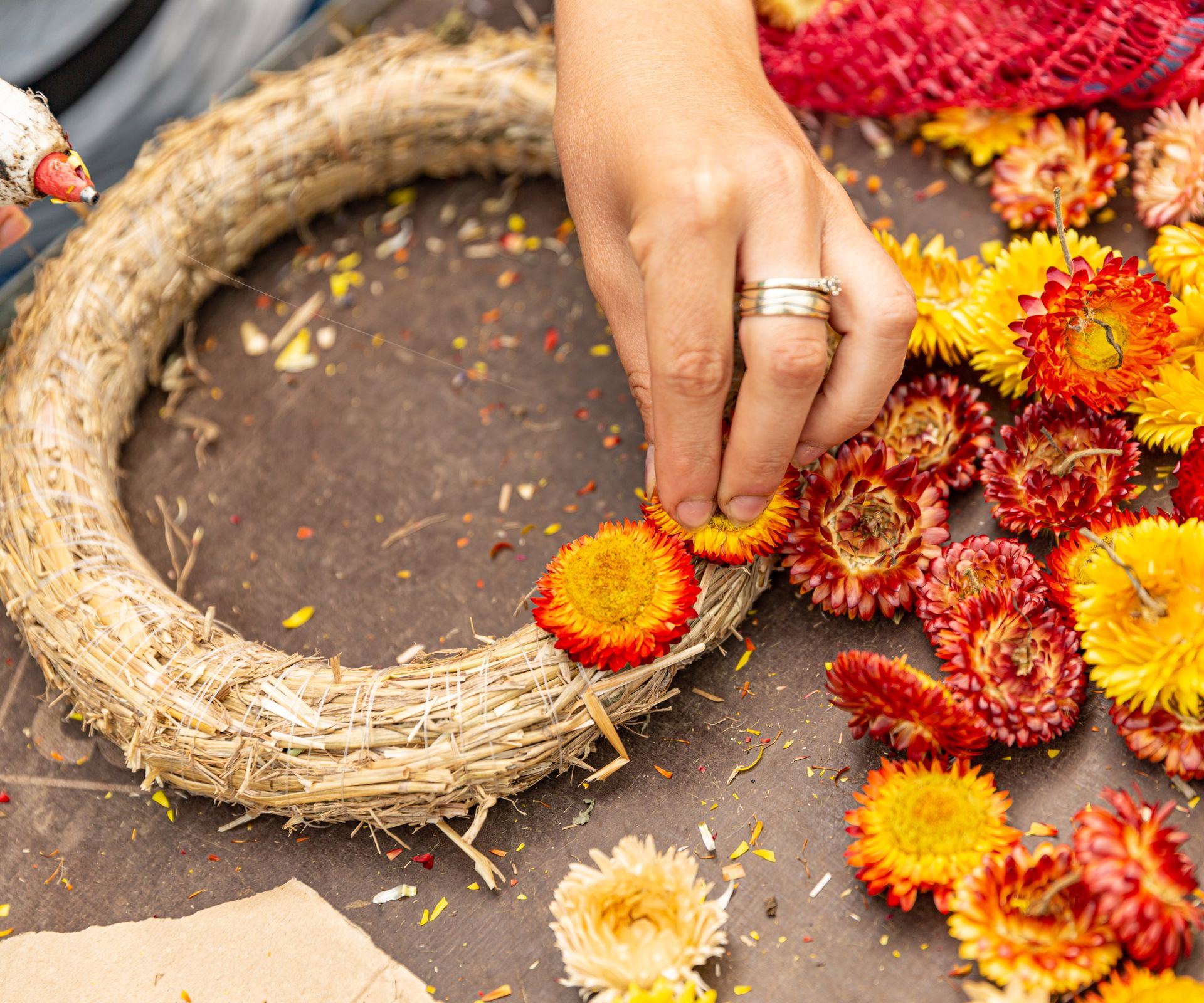 How to dry strawflowers - my tried and tested methods | Homes and Gardens