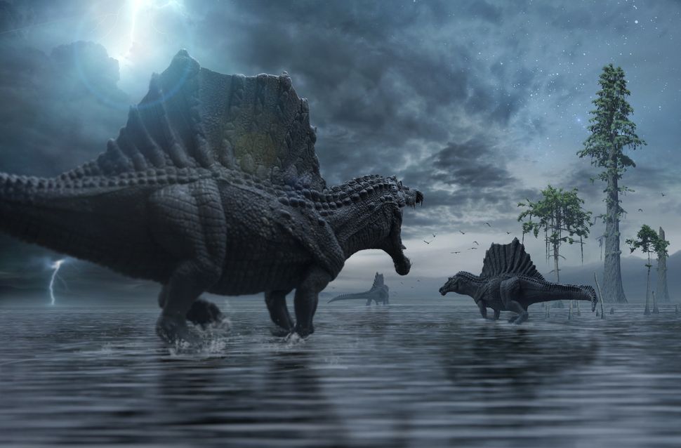 Triassic period ended with 'lost' mass extinction and a million-year ...