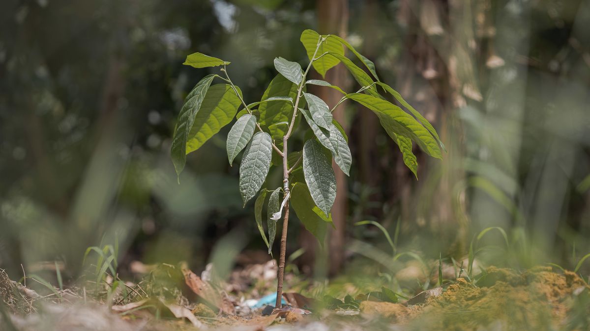 One daring photographer has won a life-changing trip to the Amazon ...