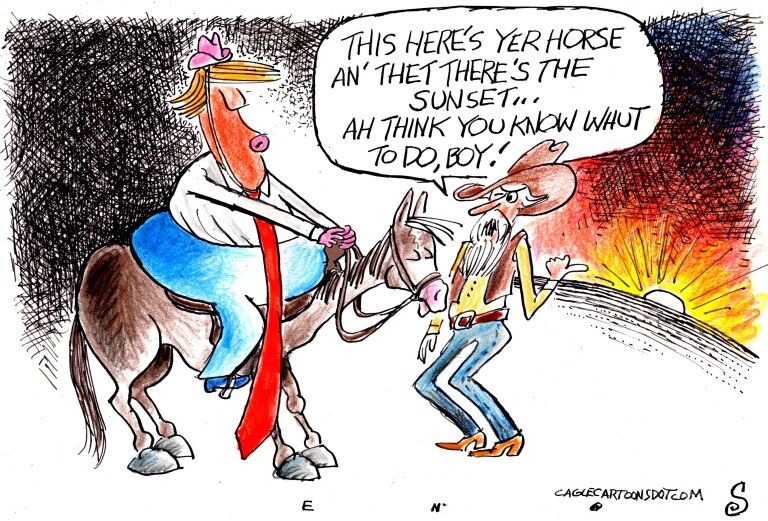 9 brutally funny cartoons about Trump's midterms disaster | The Week