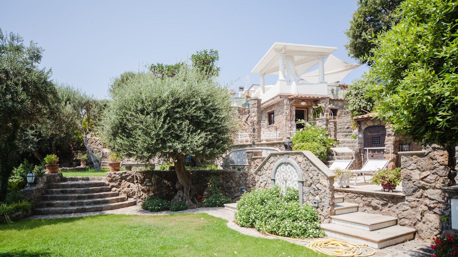 12 of the best statement trees to bring drama to your yard