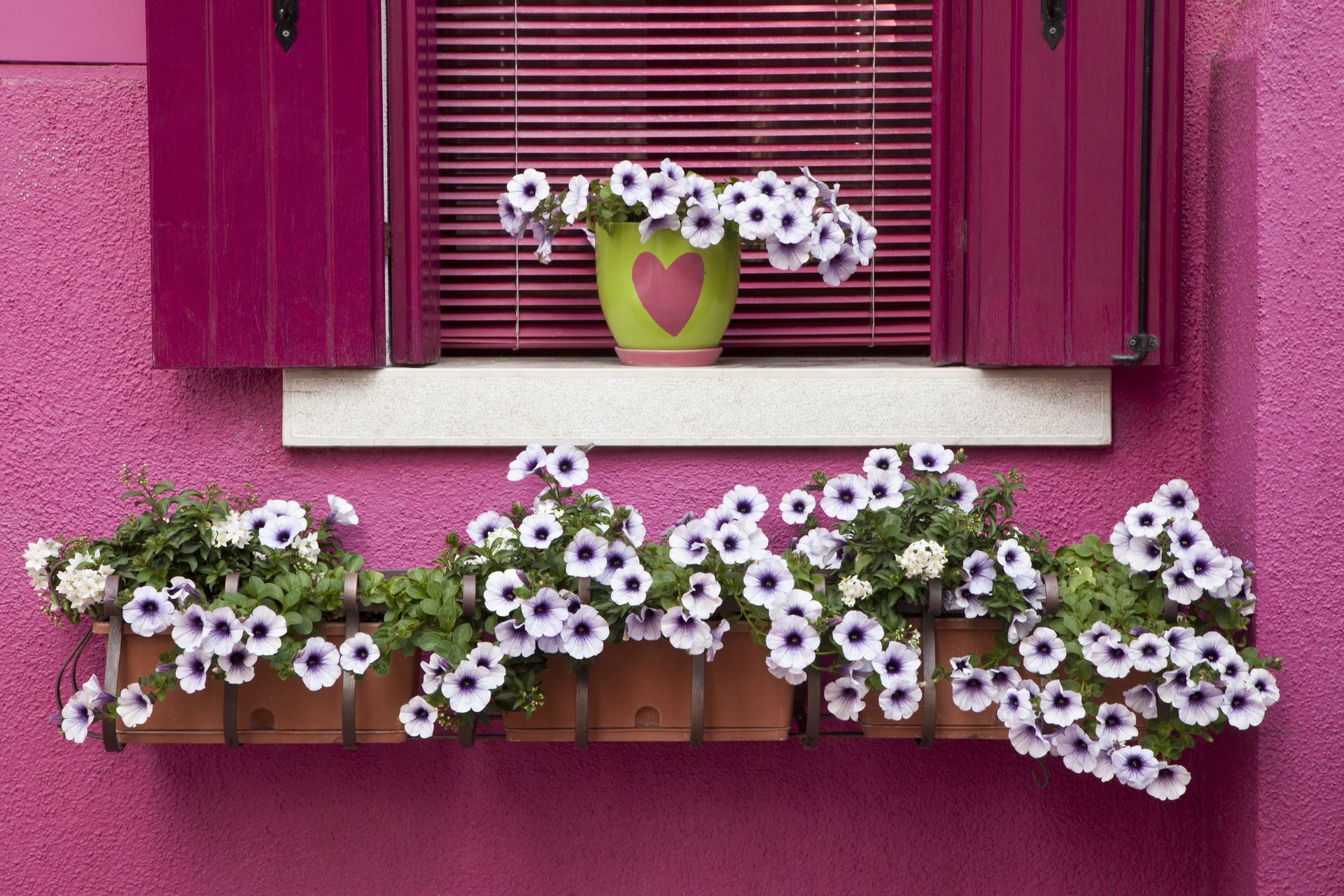 Best Flowers for Window Boxes – 6 Sun & Shade Loving Plants | Livingetc