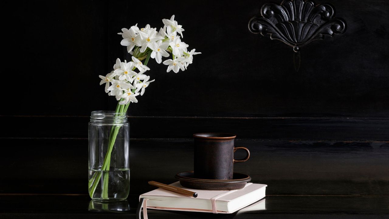 How to Water Paperwhites — Everything You Need to Know | Livingetc