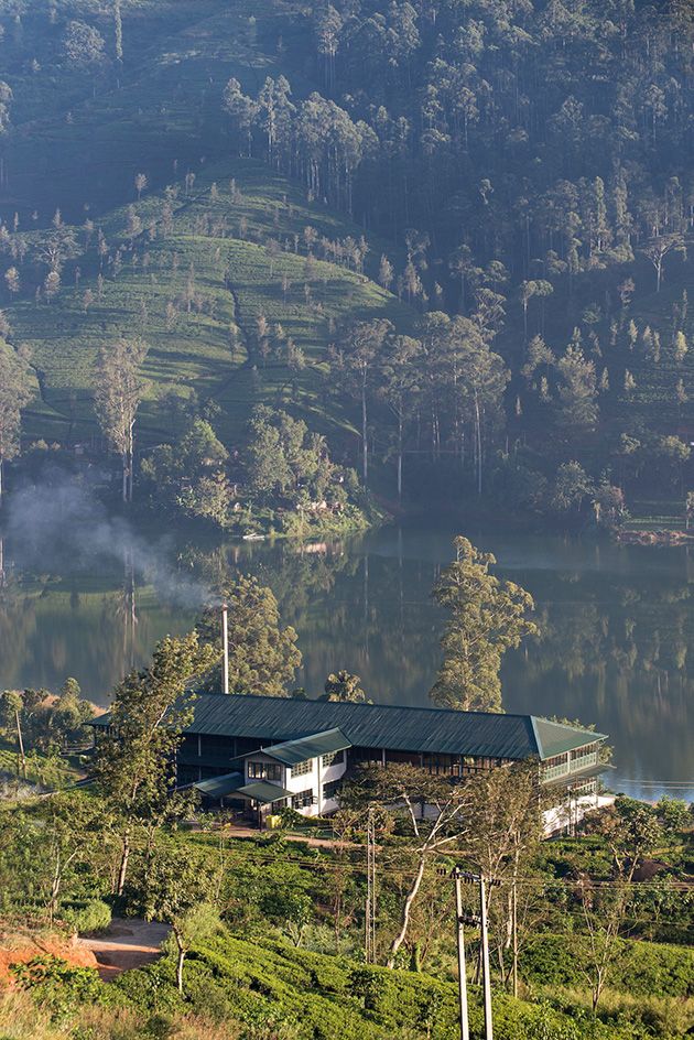 Ceylon Tea Trails | Wallpaper