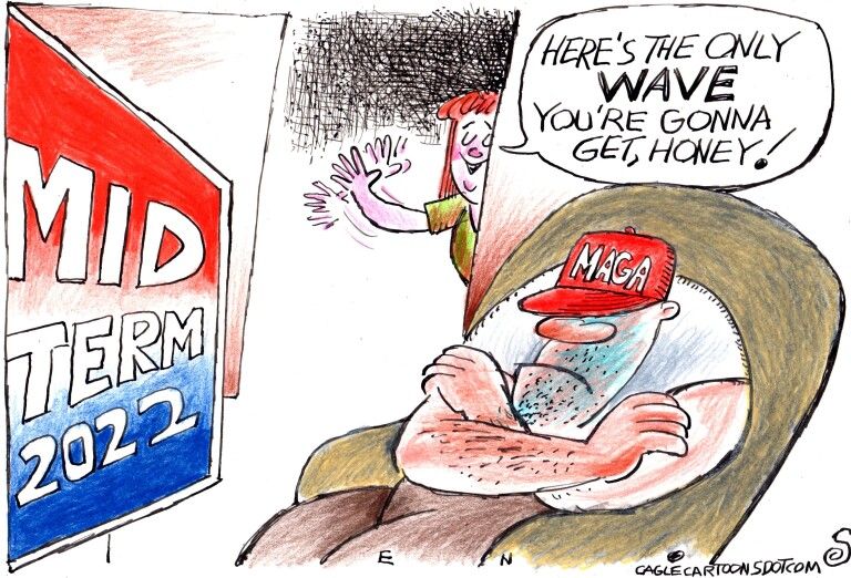 7 brutally funny cartoons about the 'red wave' that wasn't | The Week