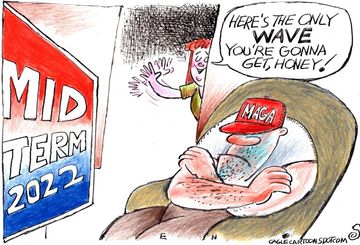 7 brutally funny cartoons about the 'red wave' that wasn't | The Week