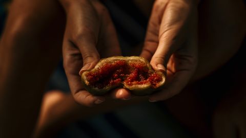 Do figs really have dead wasps in them? | Live Science