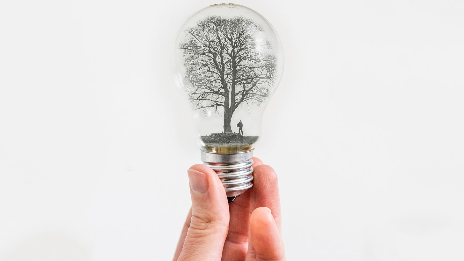 Have a light bulb moment! Create a surreal scene with this Photoshop ...