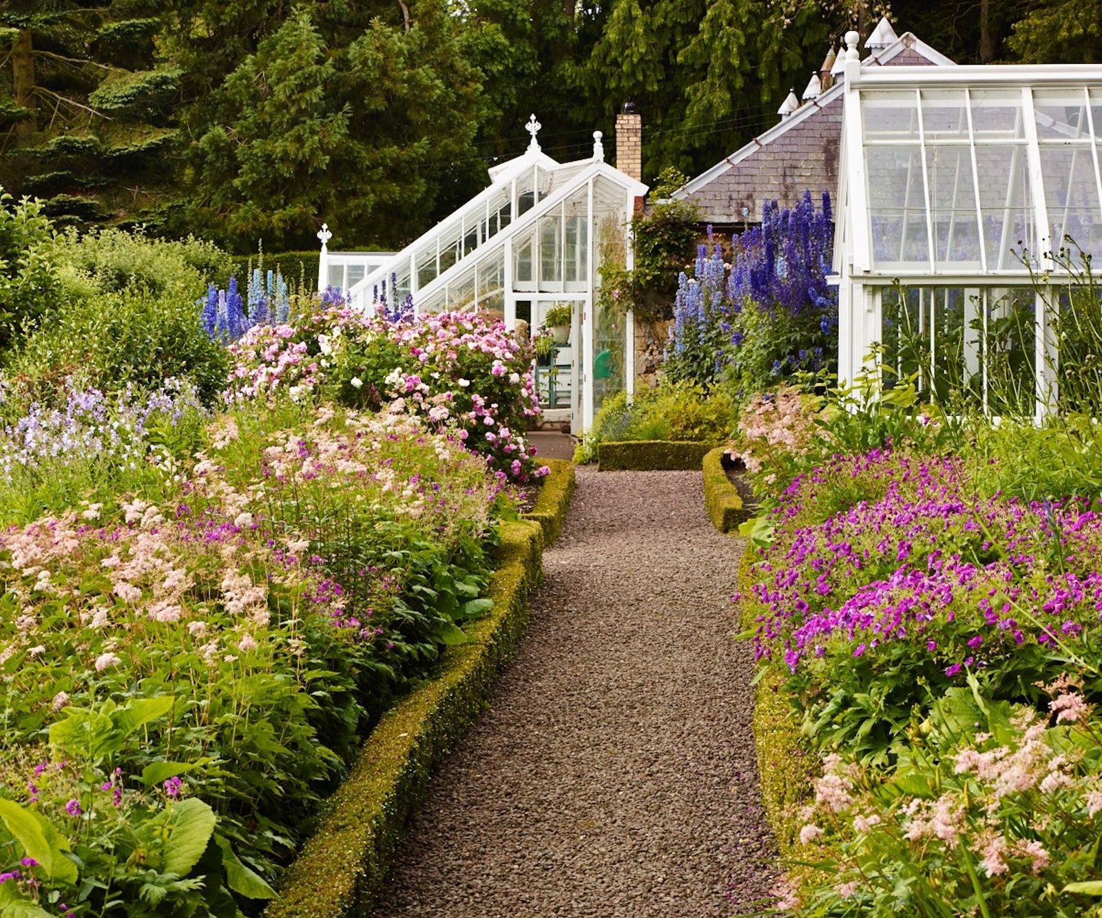 Native alternatives to invasive wisteria: 5 North American vines ...