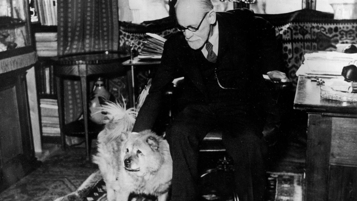 32 of the most famous dogs | PetsRadar