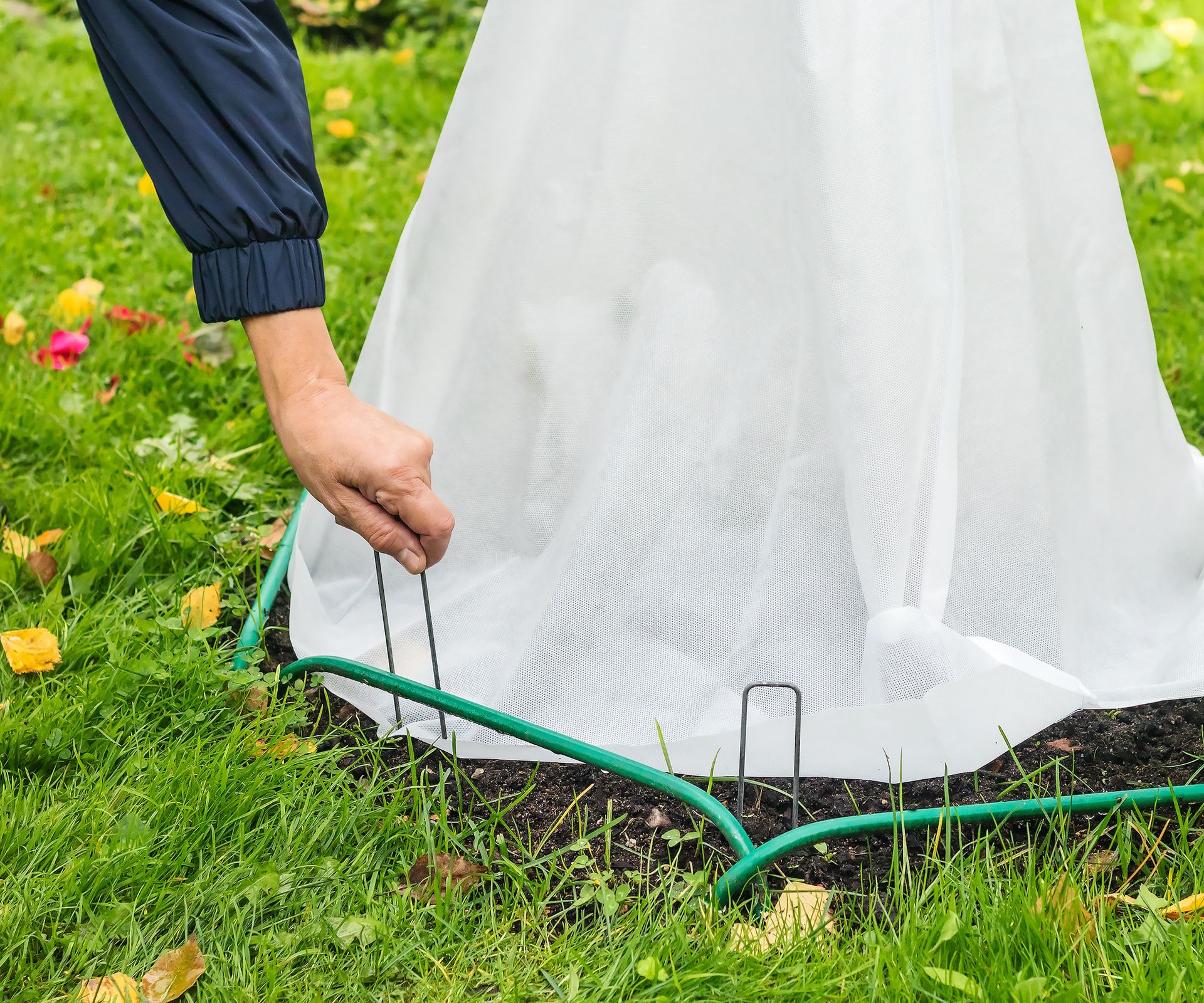 What is a frost cloth for plants and how do you use it? | Homes and Gardens