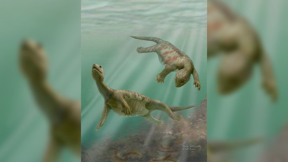 25 of the strangest ancient sea monsters | Live Science