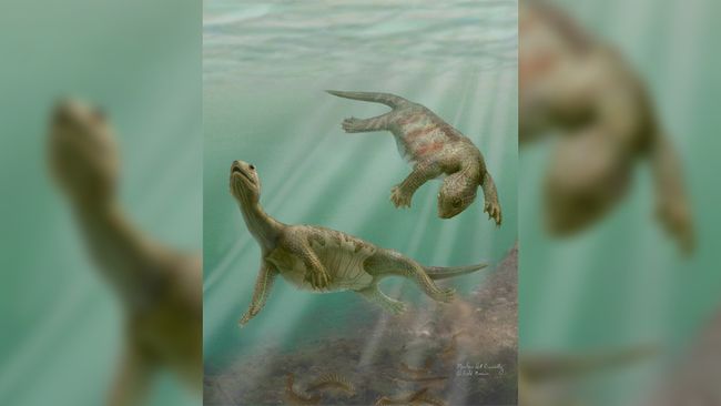 25 of the strangest ancient sea monsters | Live Science