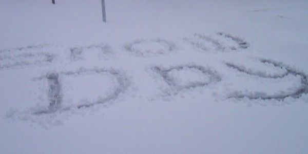 It's A Snow Day! How Schools Make The Decision To Close | Cinemablend