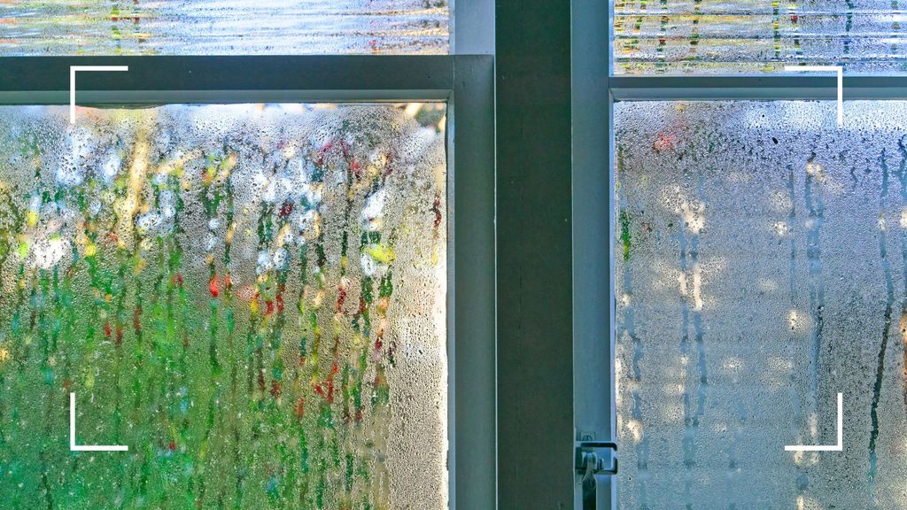 How to reduce humidity in a house in winter: 11 experts tips | Woman & Home