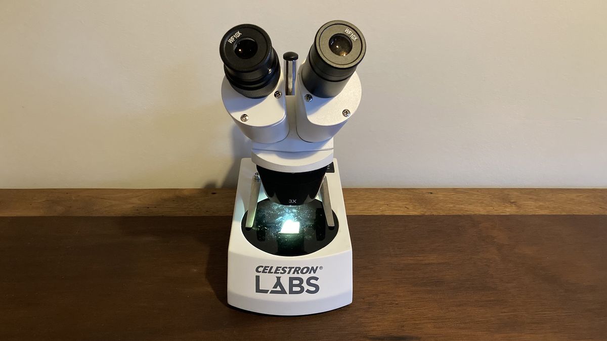 Here's our how-to guide for observing a meteorite with a microscope | Space