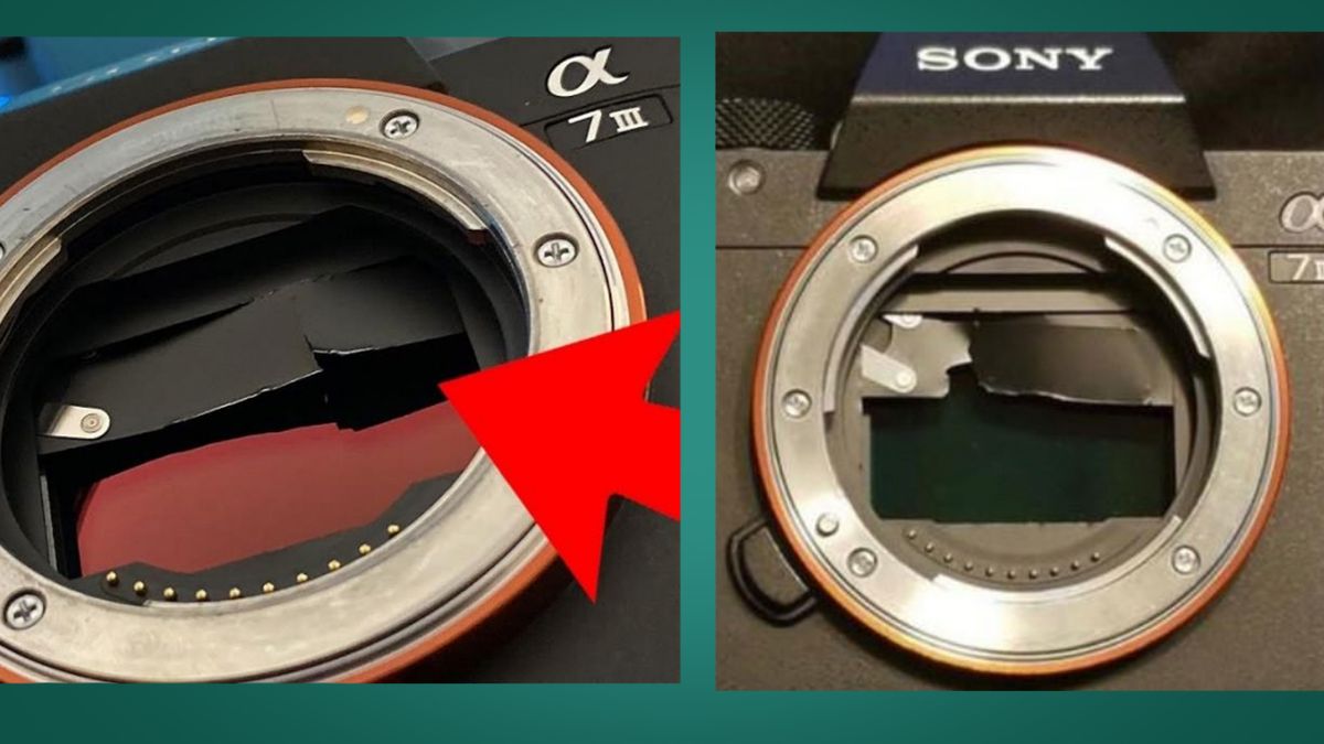 Sony sued over alleged Sony A7 III defect that makes camera 'unusable ...