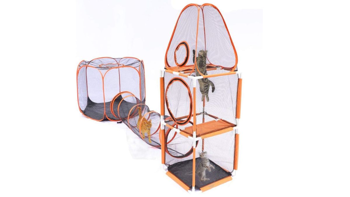 Best outdoor cat enclosures 2024: Let your feline explore nature safely ...