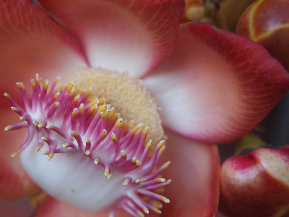 Ancient Siam: A Trip Through Thailand's Past | Live Science