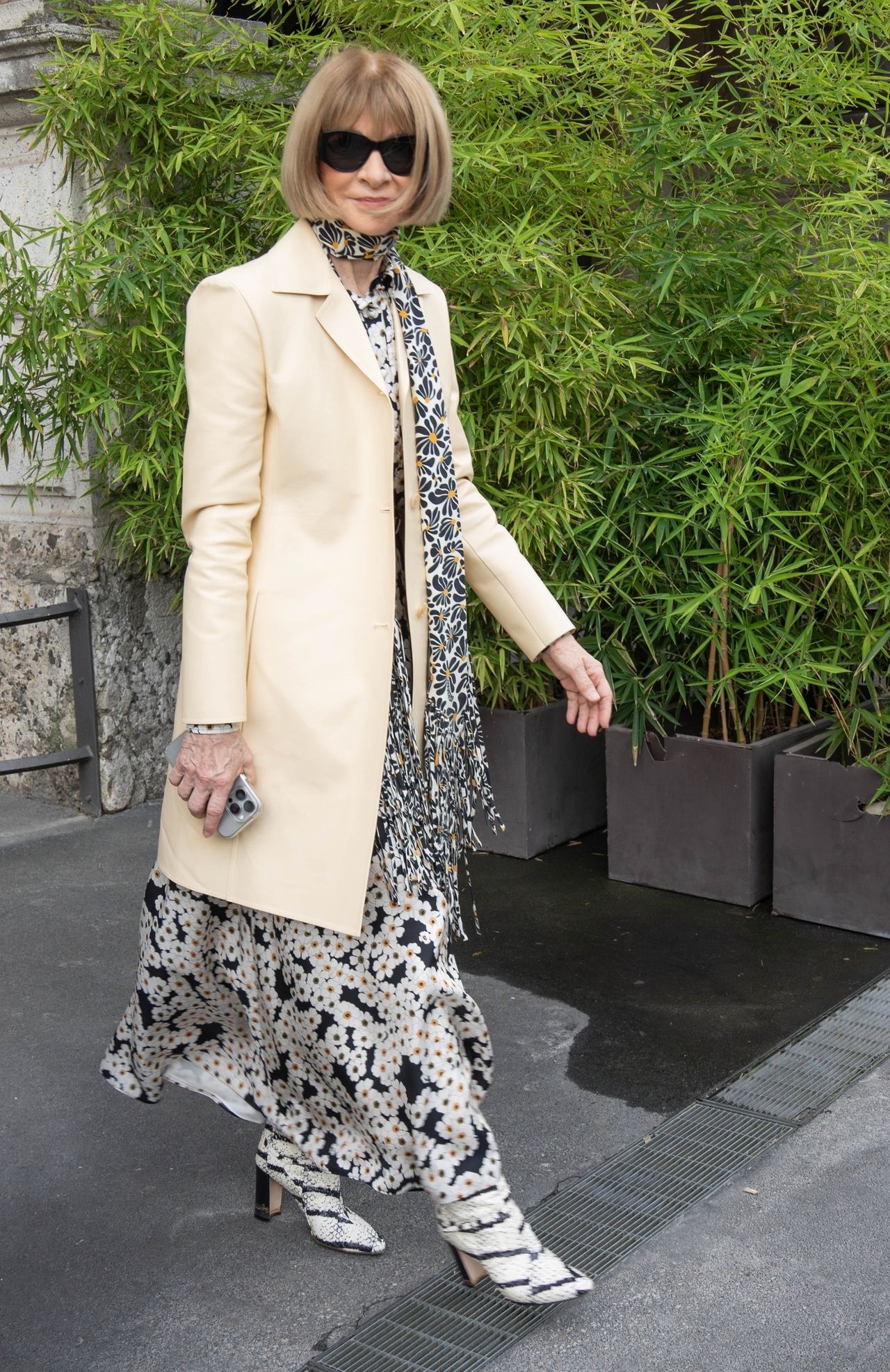 Anna Wintour's Coat Trend Feels Fresher Than Black and Gray | Who What Wear