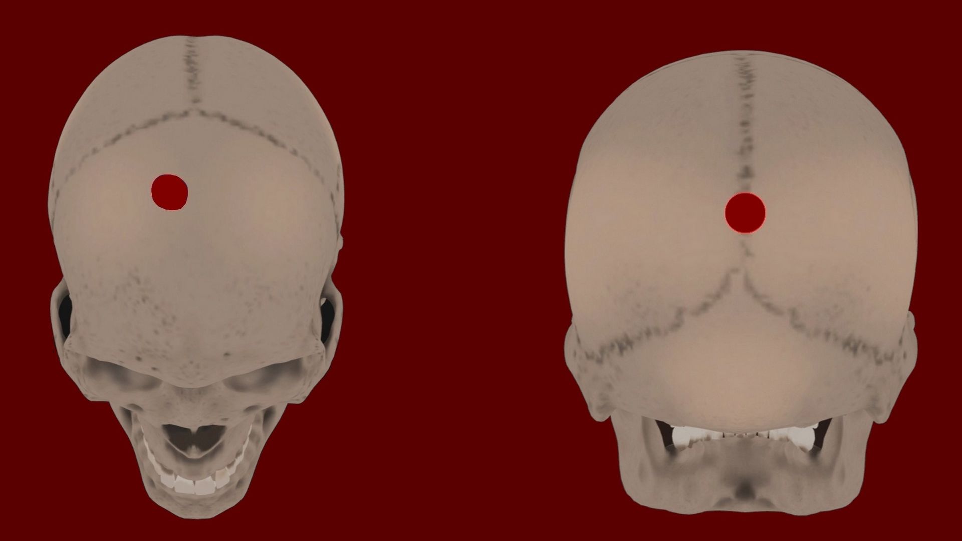 Incan Empire's 'Reign of Terror' Revealed in Four Ancient Skulls Found ...