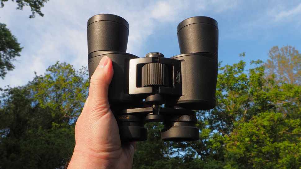 Nikon Action 10x42 review: bargain binoculars for birders on a budget ...