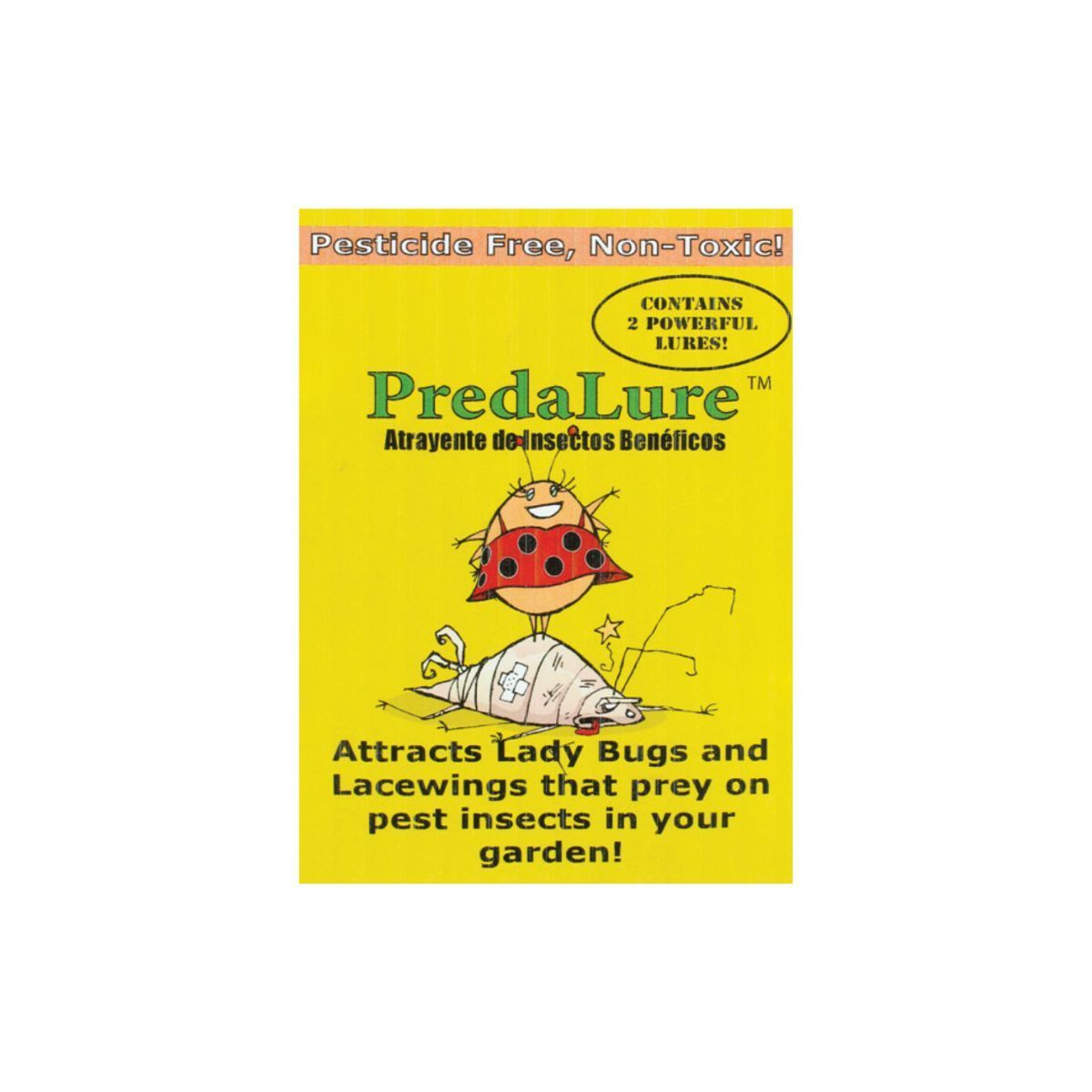 Where to buy ladybugs: 6 places to buy the best garden allies | Homes ...