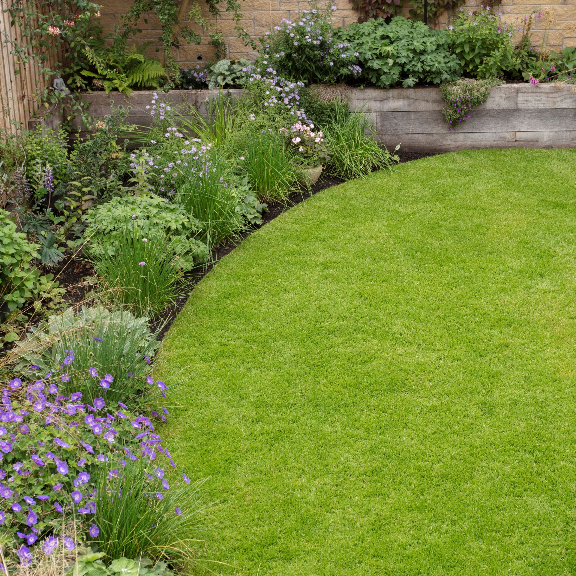 How to overseed a lawn for fuller and healthier grass | Ideal Home