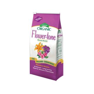 How to deadhead verbena – for relentless flowering all summer long ...