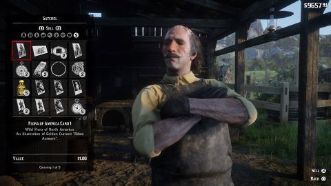 Red Dead Redemption 2 Fence locations | GamesRadar+