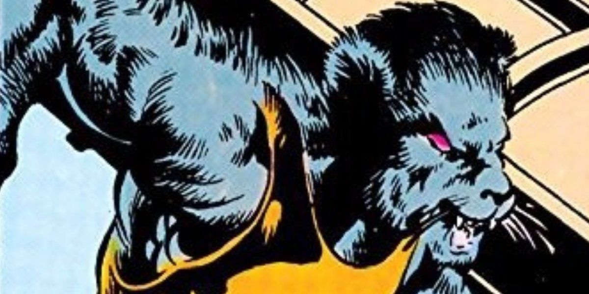 Weasel: The DC Comics Origins Of Sean Gunn's The Suicide Squad ...