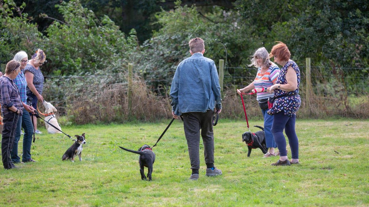 Things I wish I’d known before getting a dog | PetsRadar