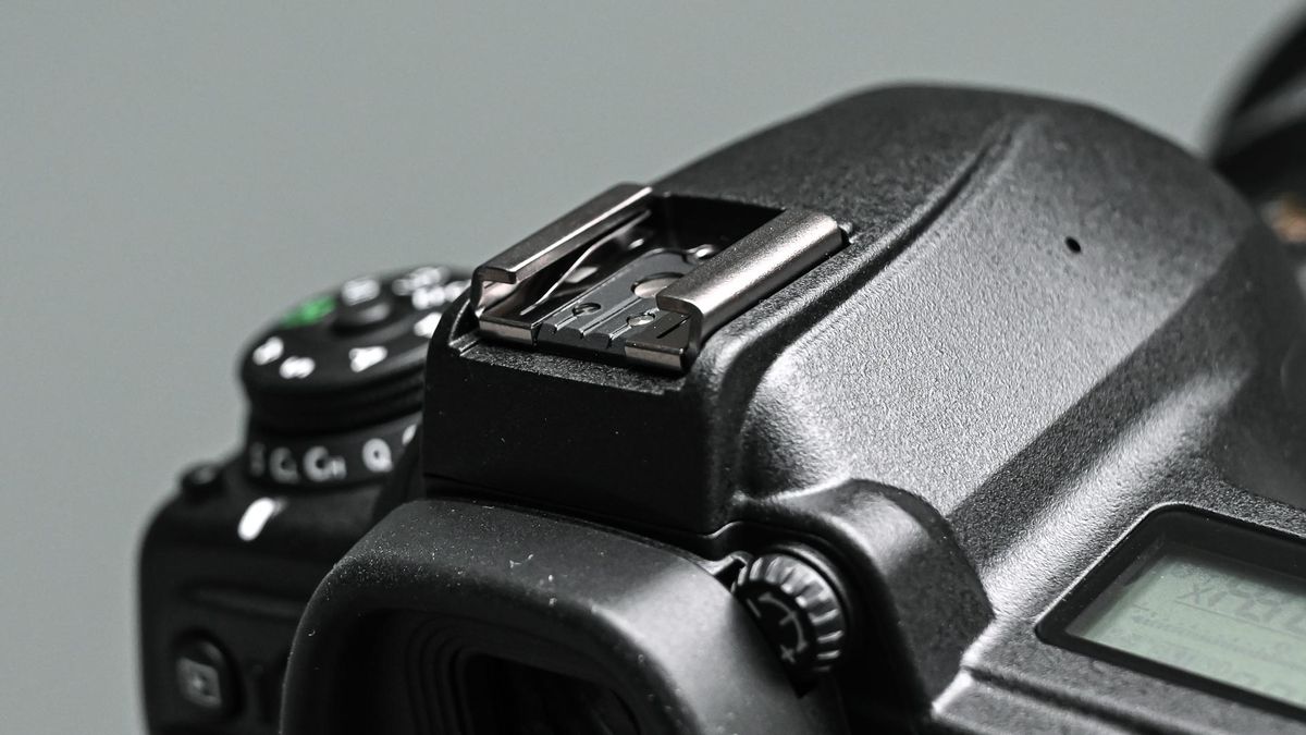 Nikon D780 review | Space