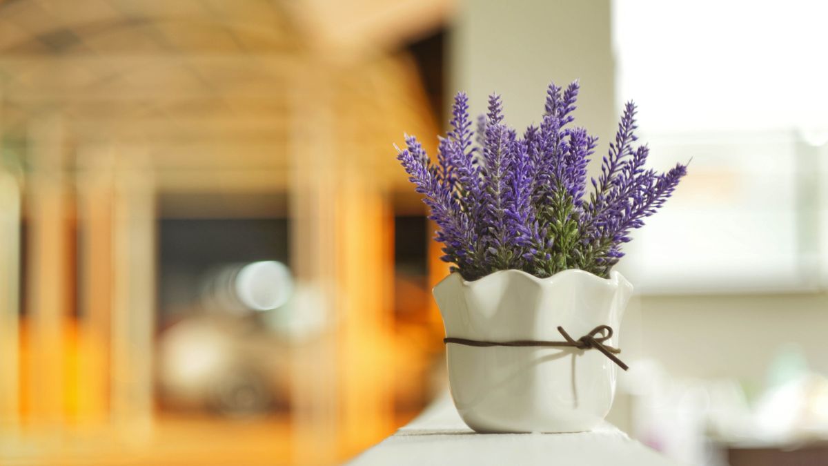 7 plants that repel roaches for a bug-free home | Tom's Guide