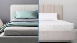 Box spring vs platform bed: which one is right for your mattress? | Tom ...