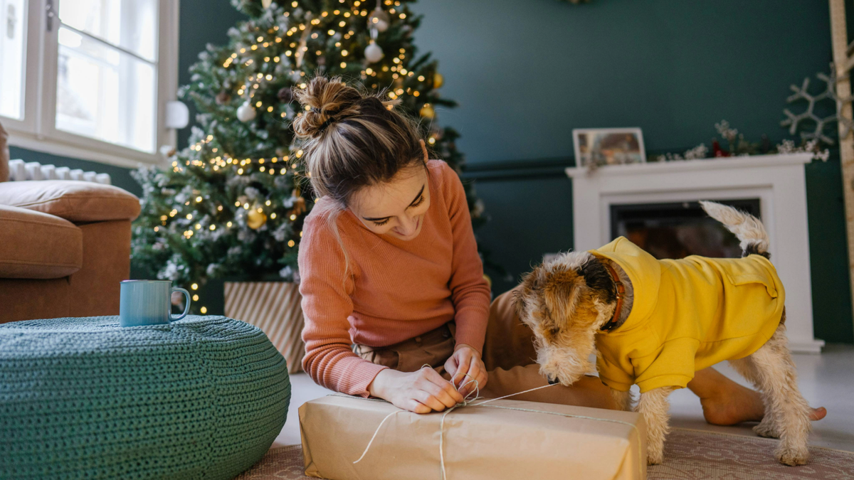 How to train your dog to open Christmas presents | PetsRadar