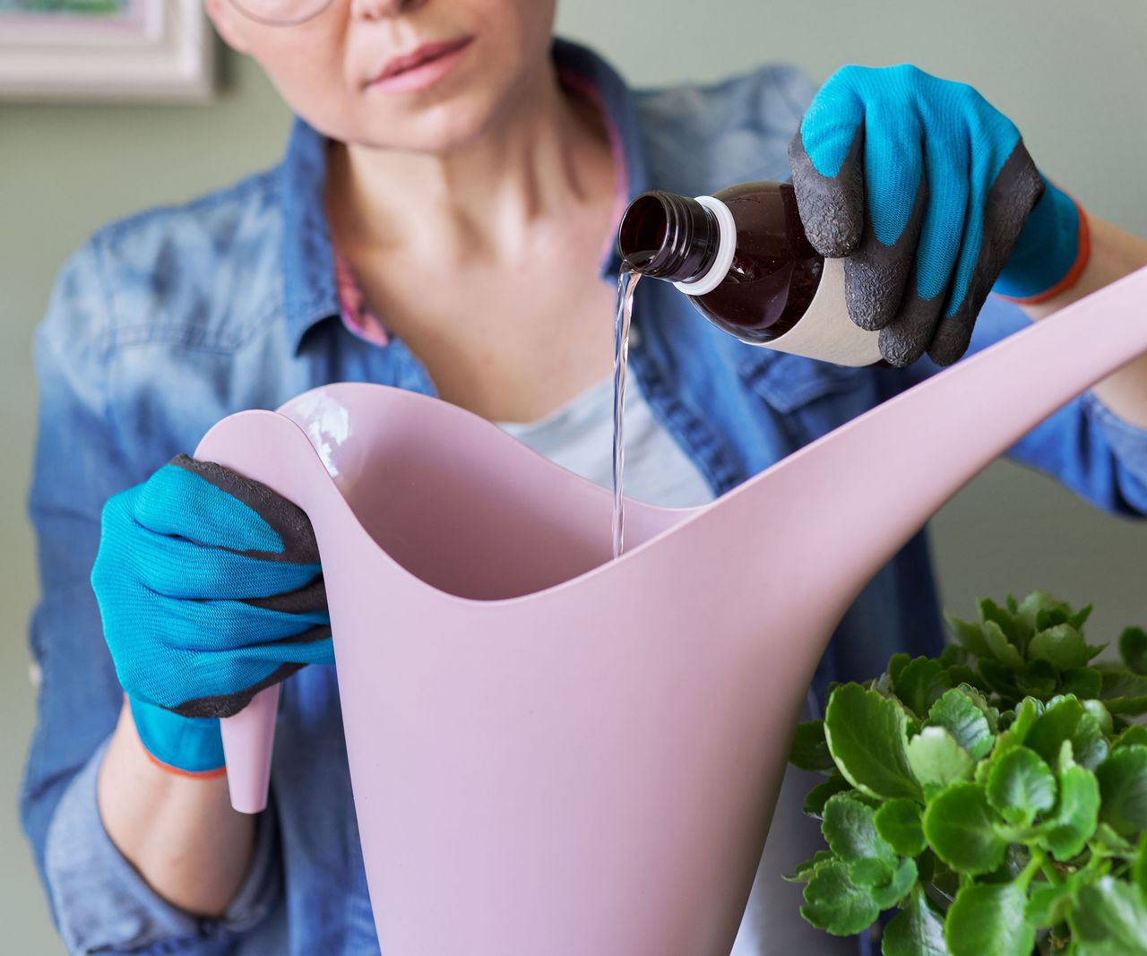 Fertilize Indoor Plants Like A Pro: Keep Houseplants Happy | Gardening Know How