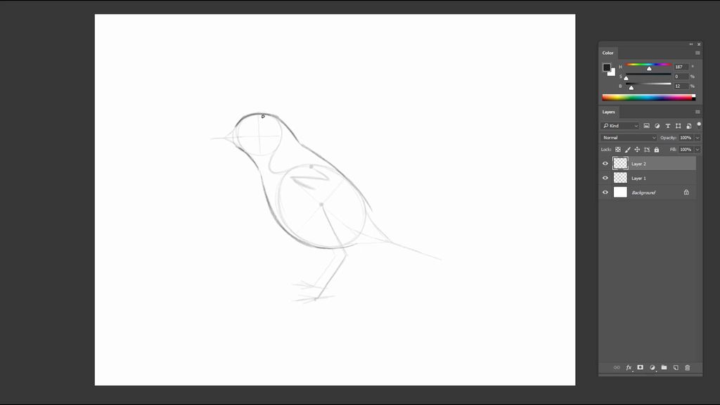 How to draw a bird | Creative Bloq
