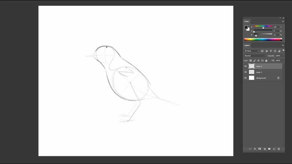 How to draw a bird | Creative Bloq