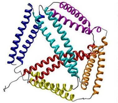 Science of 'Protein Origami' Unfolds | Live Science