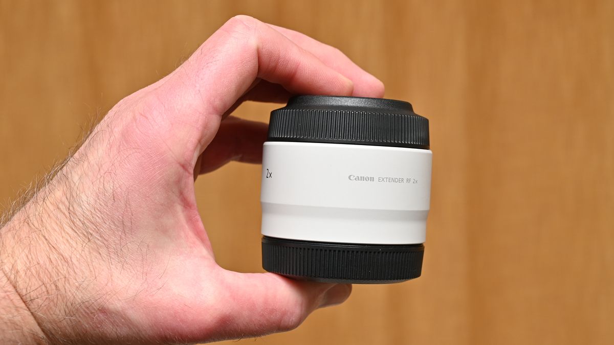 Canon Extender RF 2x review: double your telephoto reach and close-up ...