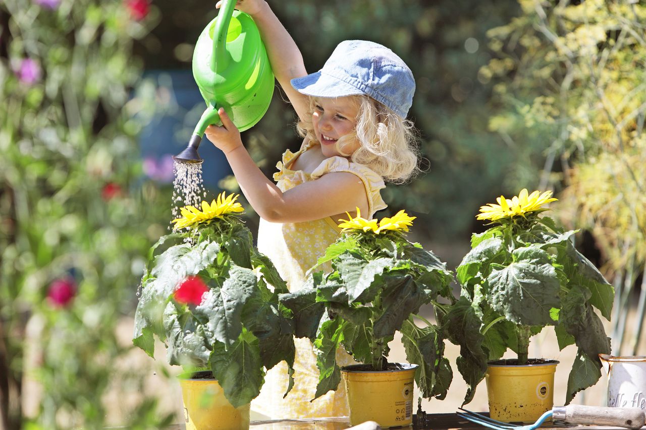 Family garden ideas: 18 fantastic ways to create an outdoor space that ...