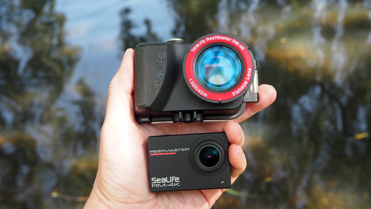 SeaLife ReefMaster RM-4K review: capture an underwater world | Digital ...