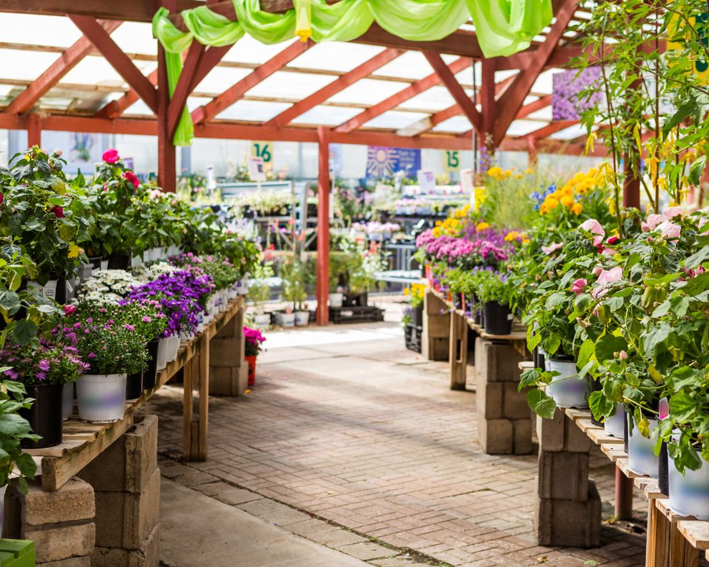 12 Secrets Garden Center Employees Wish Shoppers Knew | Gardening Know How