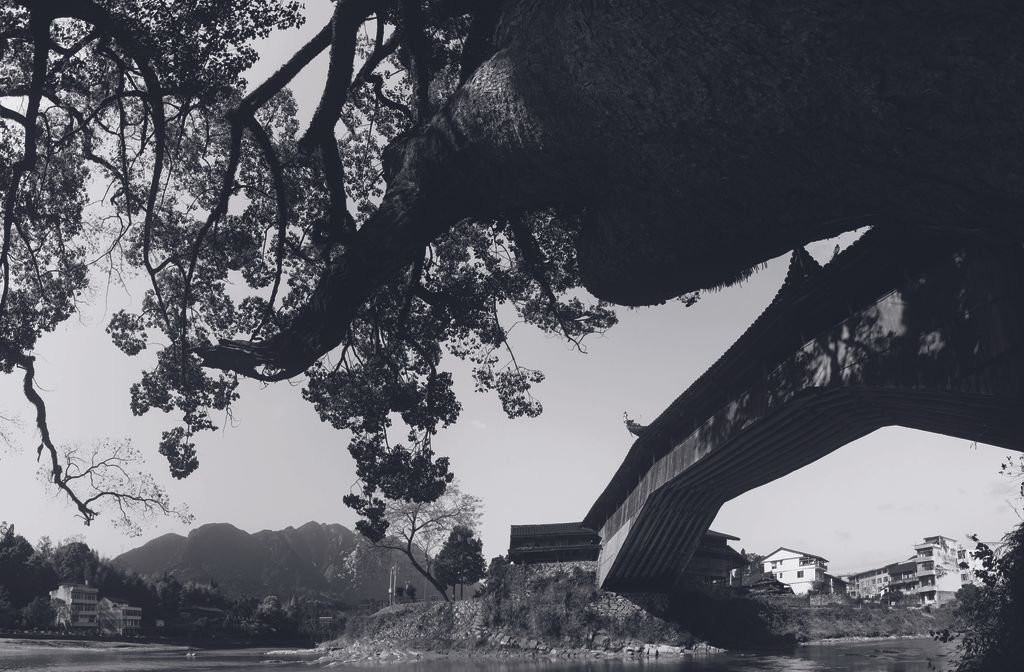 New photography book 'On Composition' by bestselling author Michael ...