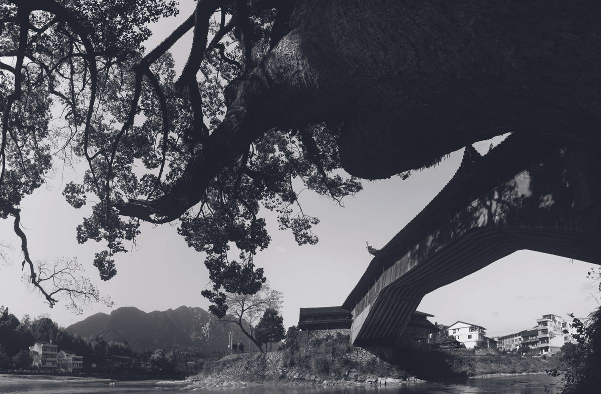 New photography book 'On Composition' by bestselling author Michael ...