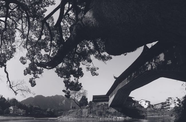 New photography book 'On Composition' by bestselling author Michael ...