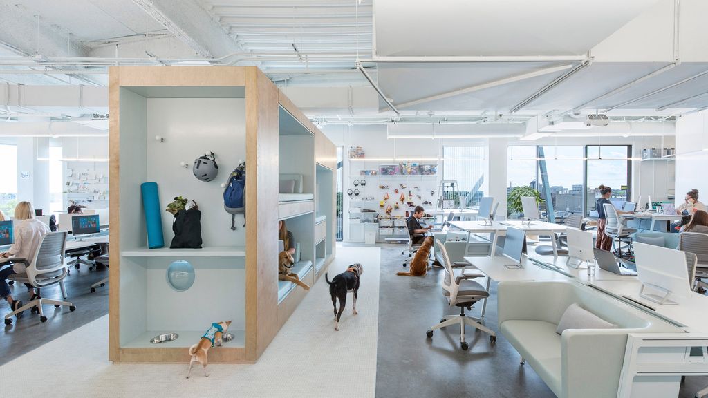 These 17 gloriously designed offices are certain to bring a smile to ...